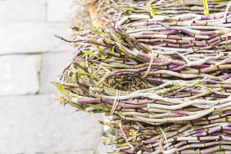 Dendrobe stock photo. Image of traditional, asian, chinese - 71422626