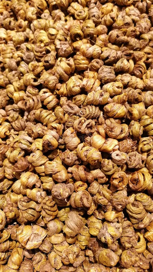 Dendrobium stock photo. Image of medicine, herb, food - 209725582