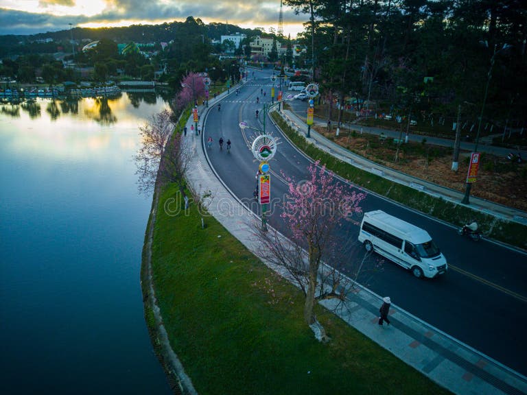Dendrobium,Dendrobium Orchid,Dancing-Doll Orchid Flowers Stock Image ...