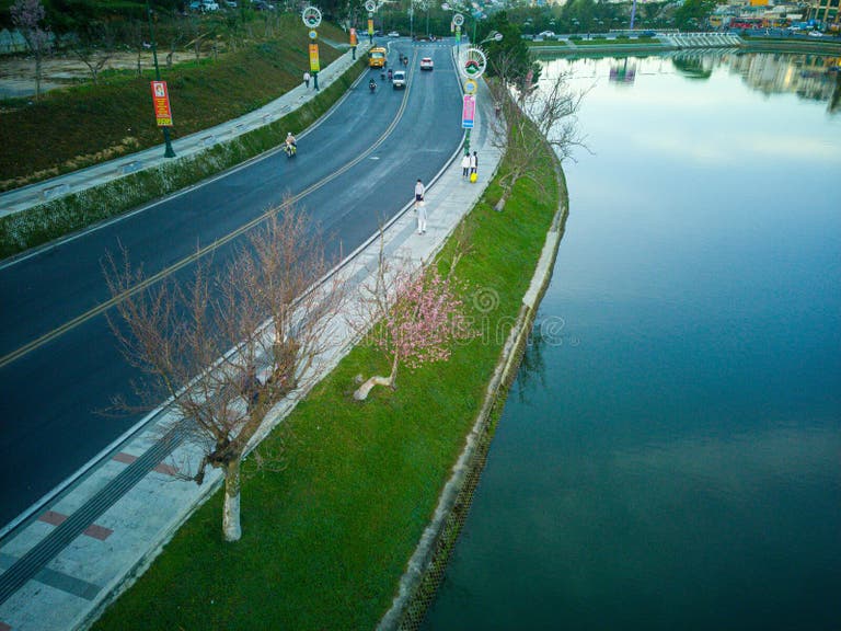 Dendrobium,Dendrobium Orchid,Dancing-Doll Orchid Flowers Stock Photo ...