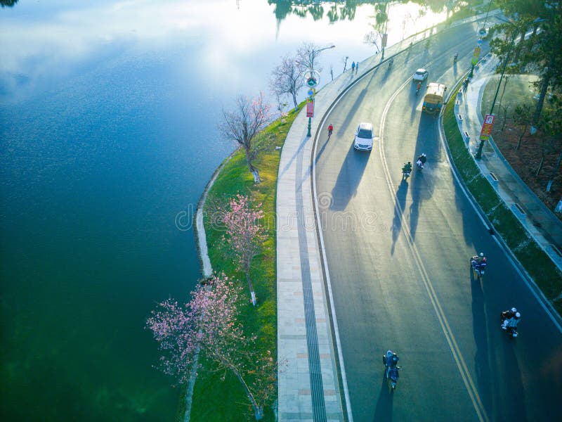 Dendrobium,Dendrobium Orchid,Dancing-Doll Orchid Flowers Stock Photo ...