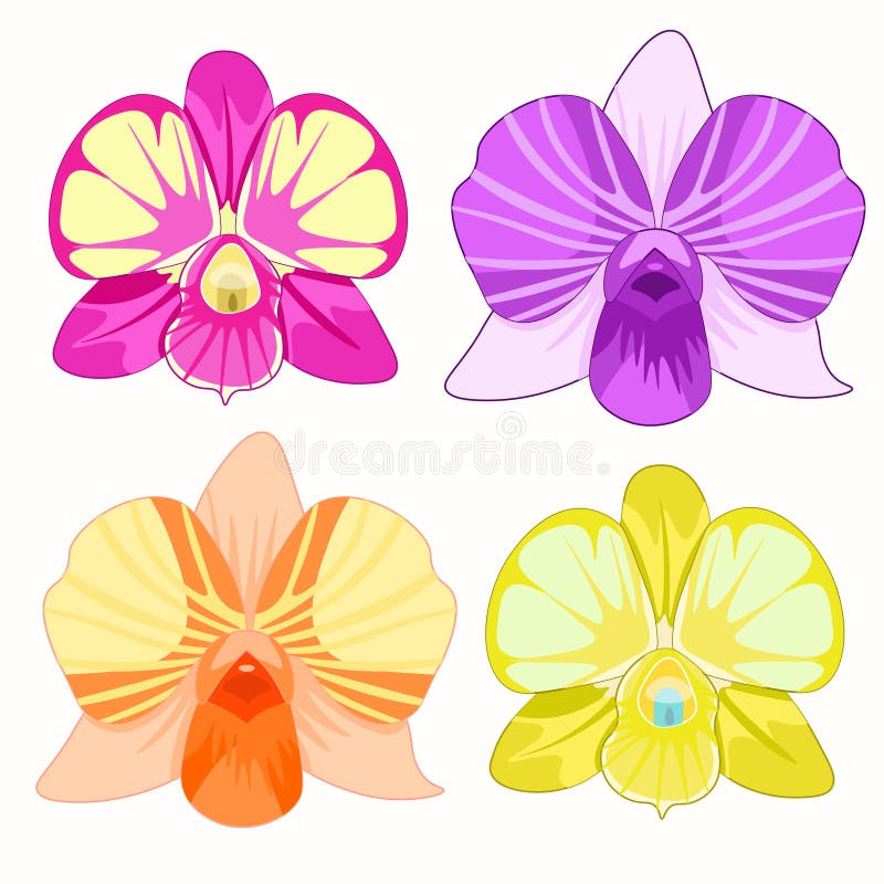 Yellow Dendrobium Orchid in a Flower Pot Stock Vector - Illustration of ...