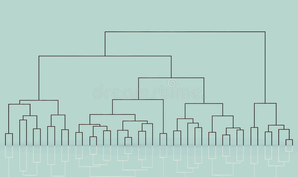 Dendrogram, a Diagram Representing a Tree Used To Demonstrate Results of Hierarchical Clustering ...