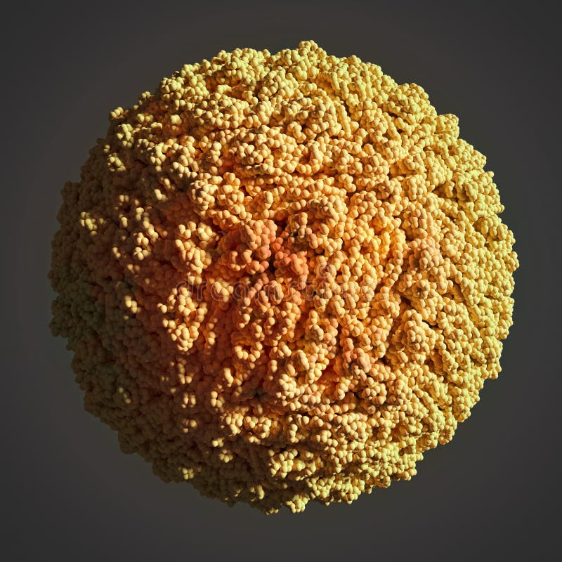 Dengue-Fieber Virus-Struktur Stock Abbildung - Illustration von krebs ...