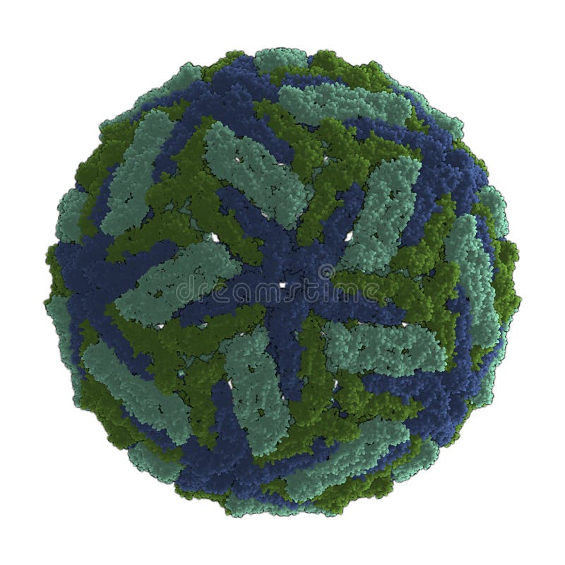 Dengue Virus (DENV) stock illustration. Illustration of particle - 23148680