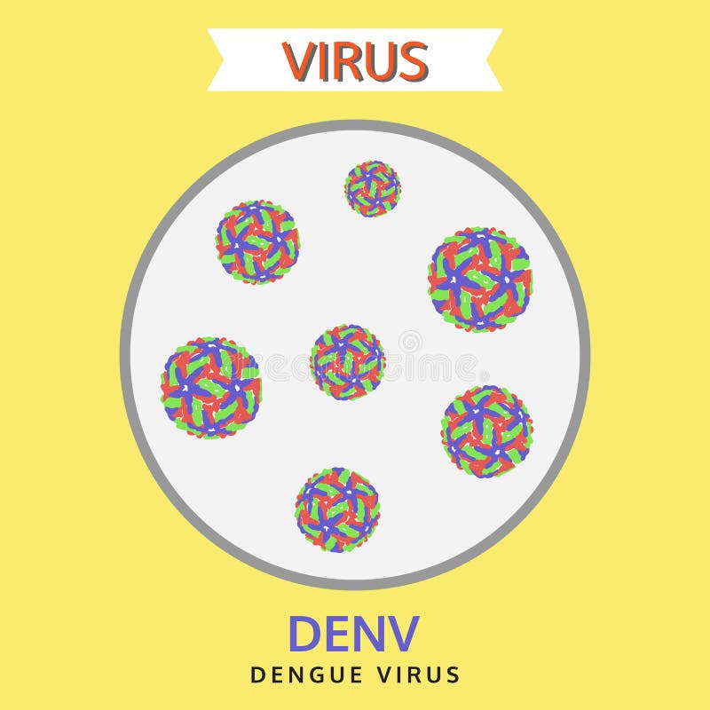 Dengue Virus, Denv Virus, Vector Stock Vector - Illustration of info ...