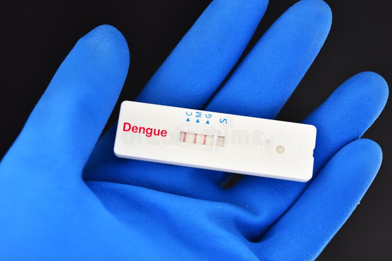 Dengue virus positive test stock photo. Image of result - 288974574