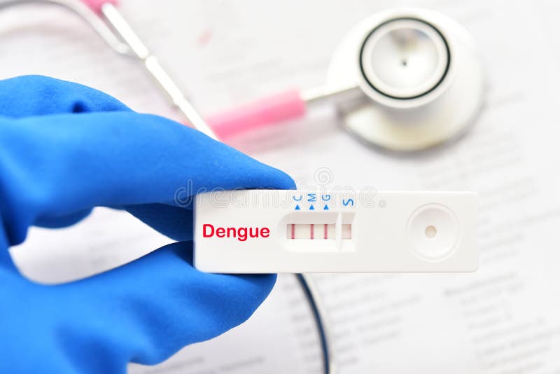 Dengue virus positive test stock image. Image of result - 288974579