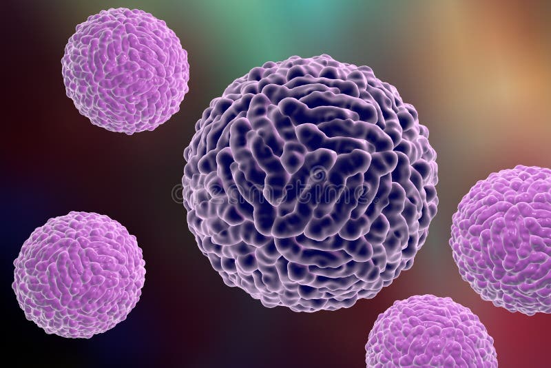 Dengue Virus (DENV) stock illustration. Illustration of disease - 23148699