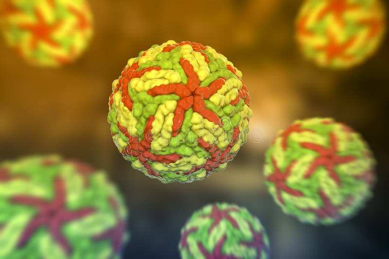 Dengue Viruses, 3D Illustration Stock Illustration - Illustration of ...