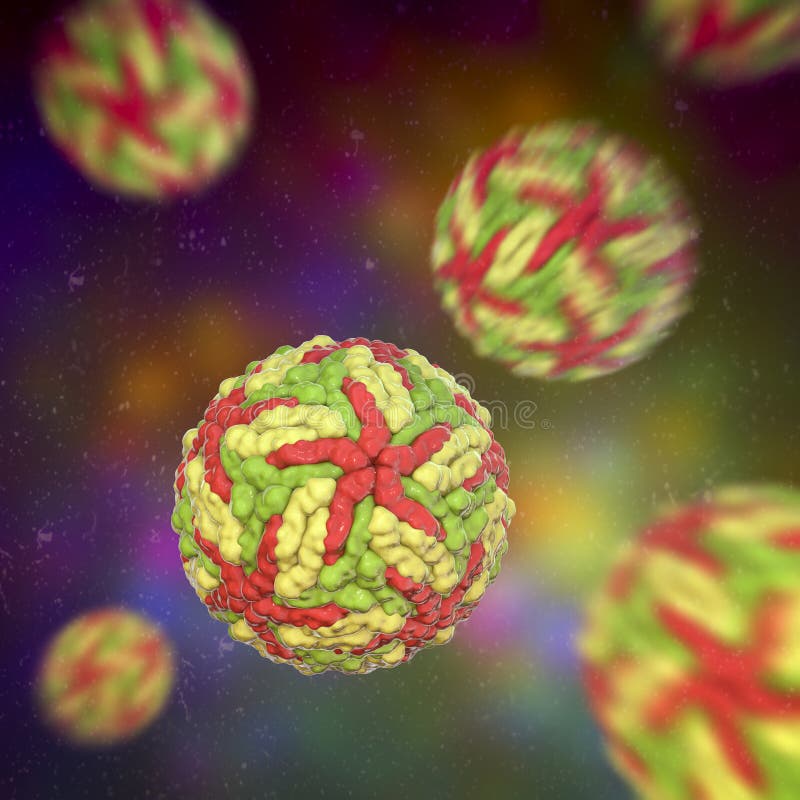 Dengue Viruses, 3D Illustration Stock Illustration - Illustration of ...