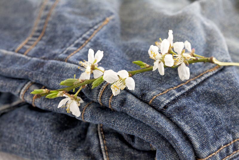Denim marine still life stock photo. Image of young - 129217040