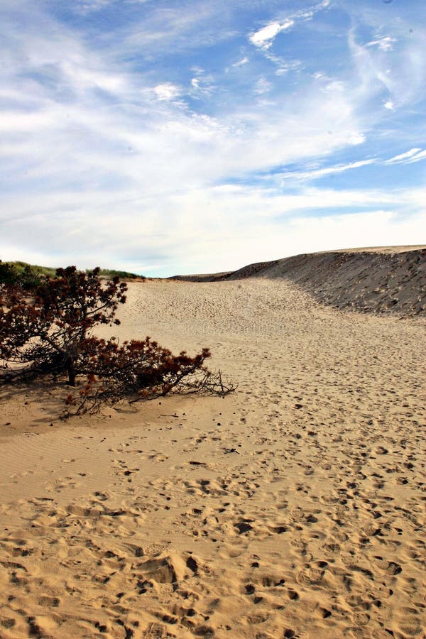 Denmark desert stock photo. Image of sunlight, blue, denmark - 1379074
