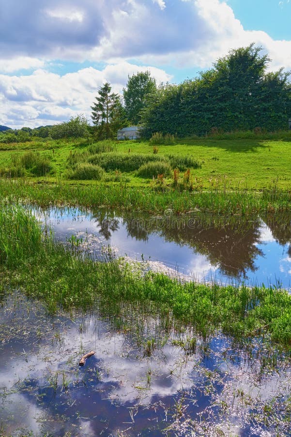 Denmark Nature, Countryside and Environment. Nature in the Kingdom of ...