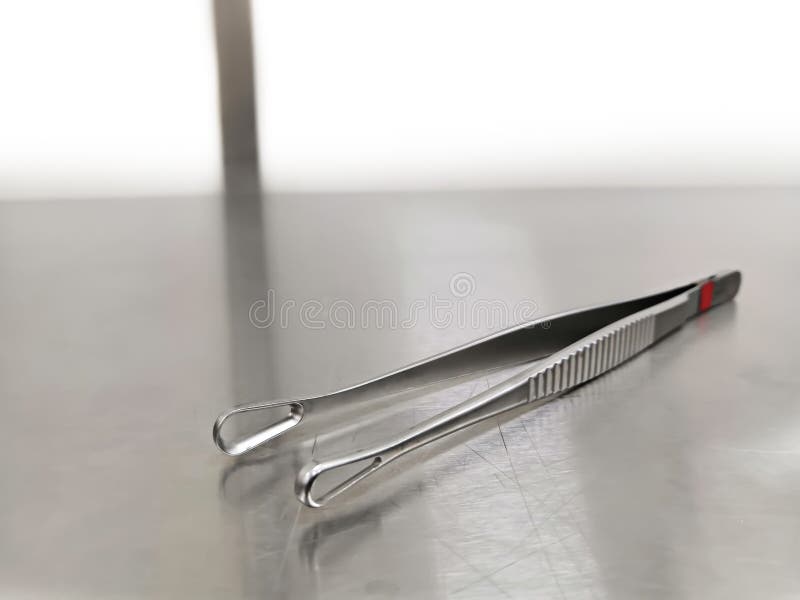 Dennis Brown Dissecting Forceps Stock Image - Image of forceps ...