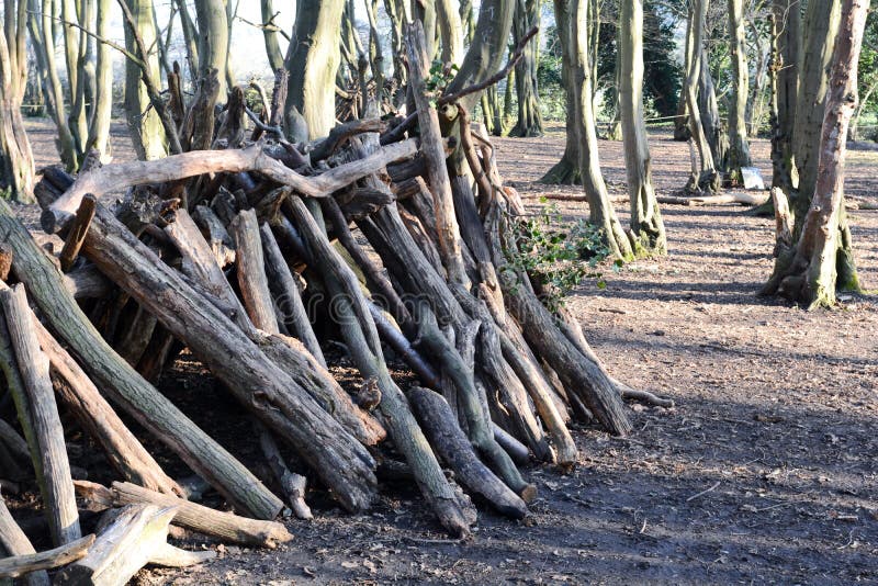 Building a den outdoors stock image. Image of camp, nature - 139425585