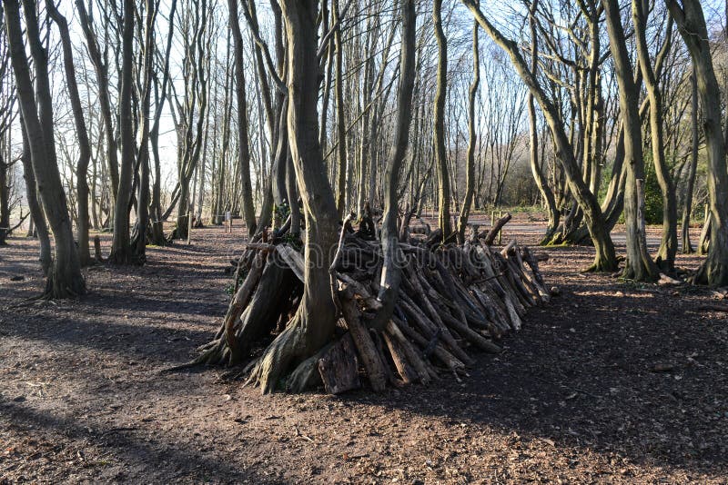 Large stick den stock image. Image of stick, tree, house - 69417839