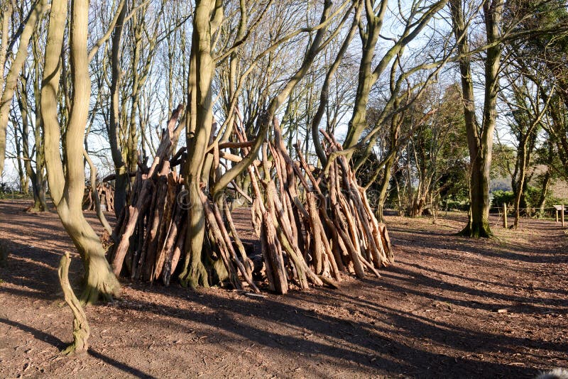 Large stick den stock image. Image of stick, tree, house - 69417839