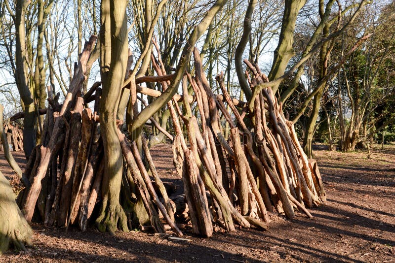 Large stick den stock image. Image of stick, tree, house - 69417839