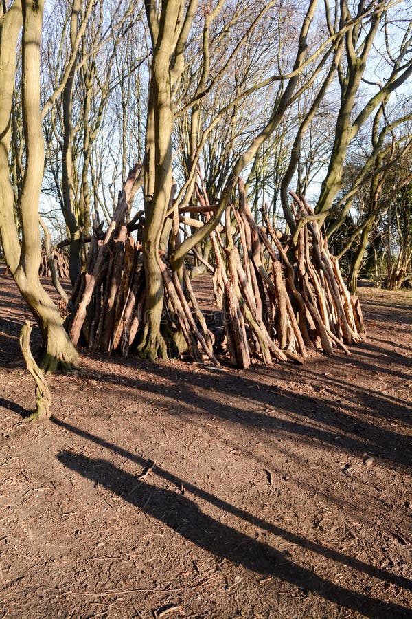 Large stick den stock image. Image of stick, tree, house - 69417839