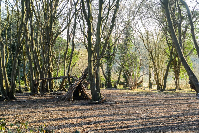 Building a den outdoors stock photo. Image of rural - 139425764