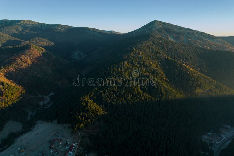 Dense Autumn Pine Forest Near the Countryside. View from Above. Stock ...