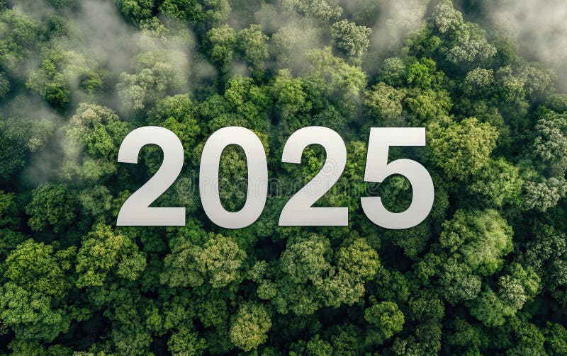 Aerial View of a Green Forest with 2025 among the Treetops, Symbolizing ...