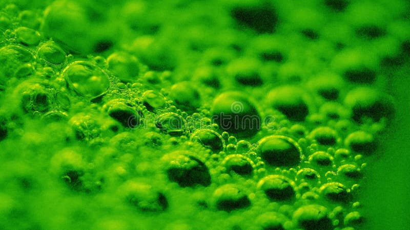 Dense Chemical Bubbles Close-Up Shot Stock Video - Video of macro ...