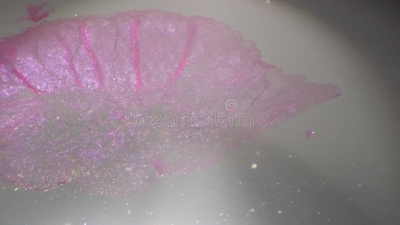 Dense Connective Tissue in Longitudinal Section Filmed by Microscope ...