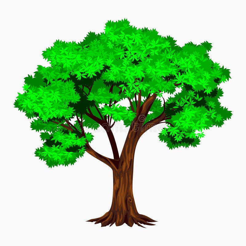 Dense and Detailed Tree stock vector. Illustration of branch - 114461522