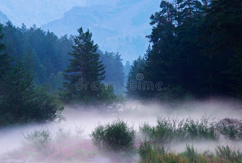 Dense fog stock image. Image of rock, serenity, rushing - 25476823