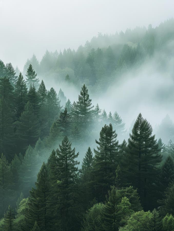 Enchanting Atmosphere Stock Illustrations – 42,188 Enchanting ...