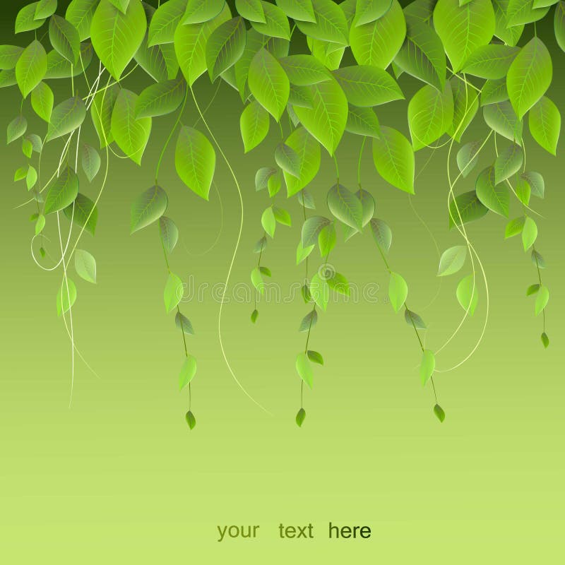 Dense Foliage Hanging on a Green Background, Climbing Plants, Vector ...