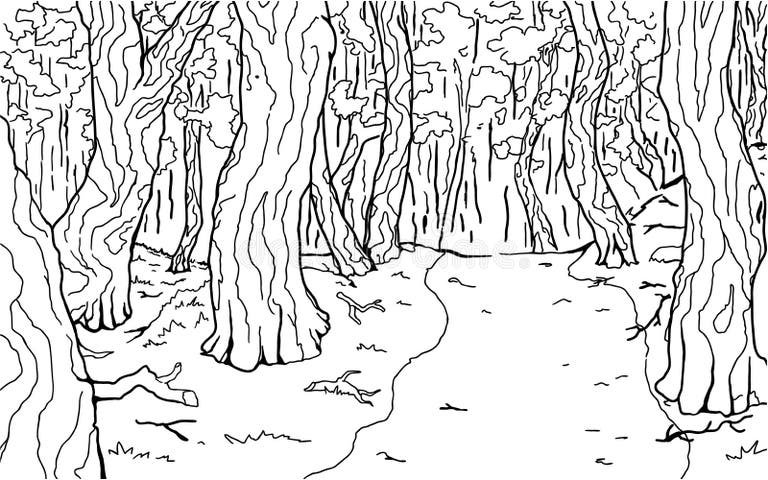 Footpath Line Drawing Stock Illustrations – 484 Footpath Line Drawing ...