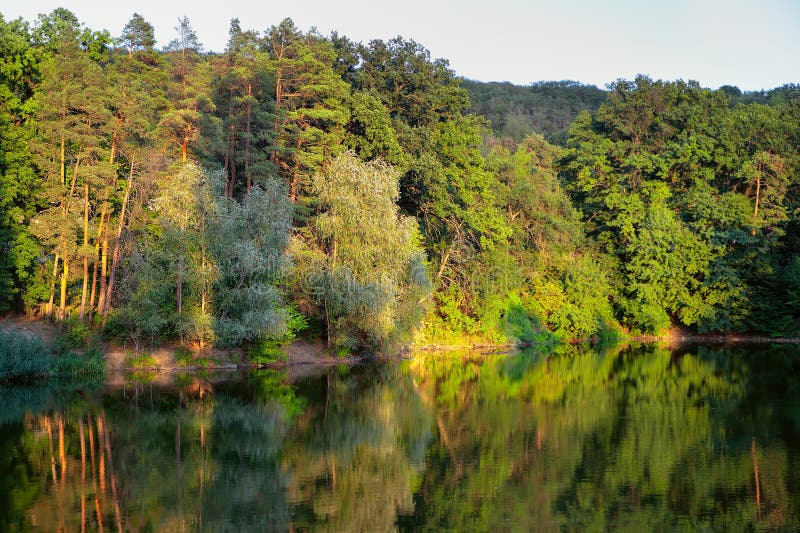 Dense Forest Growing on the Mountains Stock Photo - Image of parkland ...