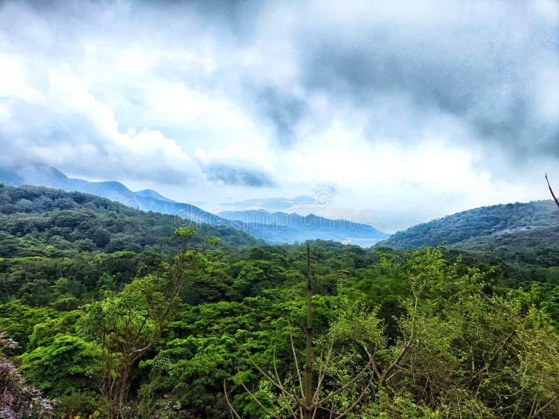 A Dense Forest Sprawls Across the Valley, Under Dramatic Clouds and ...