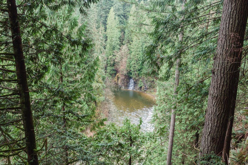 Dense Forest Surrounds a Lake and a Waterfall Stock Photo - Image of ...