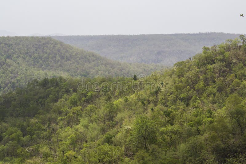 Dense Indian Forest and the Valley Stock Image - Image of malwa, india ...