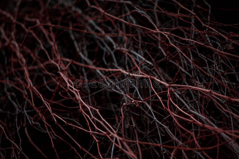 Unseen Subterranean Entity Stock Photos - Free & Royalty-Free Stock ...