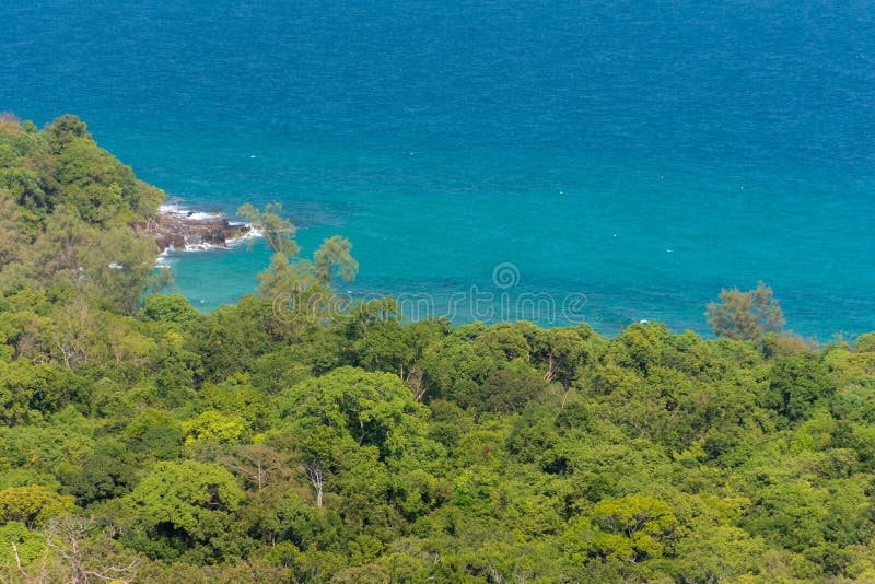 Dense Jungle Shore Line Meets Tranquil Blue Sea Stock Photo - Image of ...