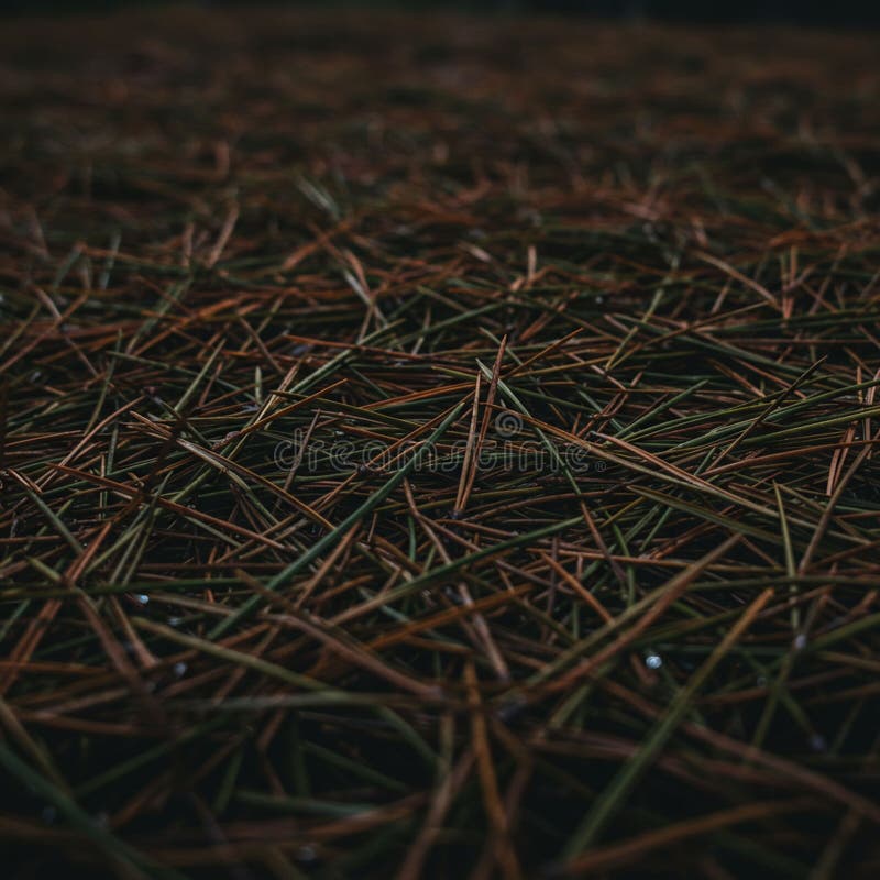 Dense Textured Layer Stock Illustrations – 313 Dense Textured Layer ...