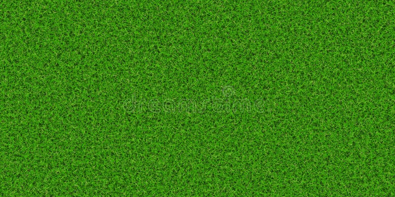 Dense Lush Grass Texture. Field Background. Park Lawn Pattern Stock ...