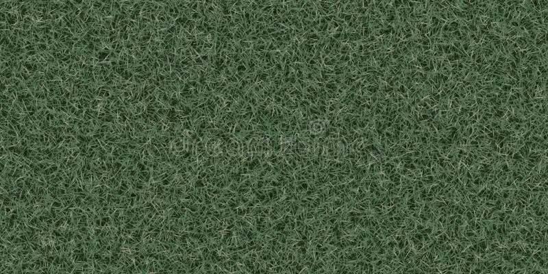 Dense Lush Grass Texture. Field Background. Park Lawn Pattern. Textured ...
