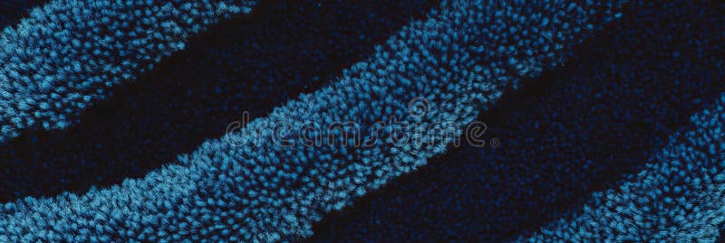 Dense Navy Blue Berber Carpet with Looped Pile and Subtle Texture in ...