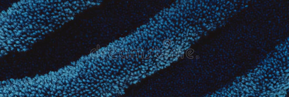 Dense Navy Blue Berber Carpet with Looped Pile and Subtle Texture in ...