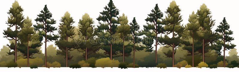 Dense Pine Forest Vector Simple 3d Smooth Cut and Isolated Illustration ...