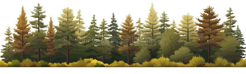 Dense Pine Forest Vector Simple 3d Smooth Cut and Isolated Illustration ...