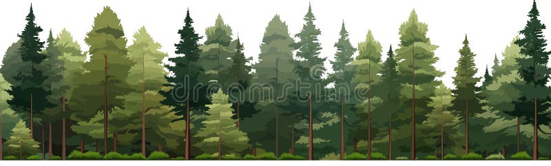 Dense Pine Forest Vector Simple 3d Smooth Cut and Isolated Illustration ...