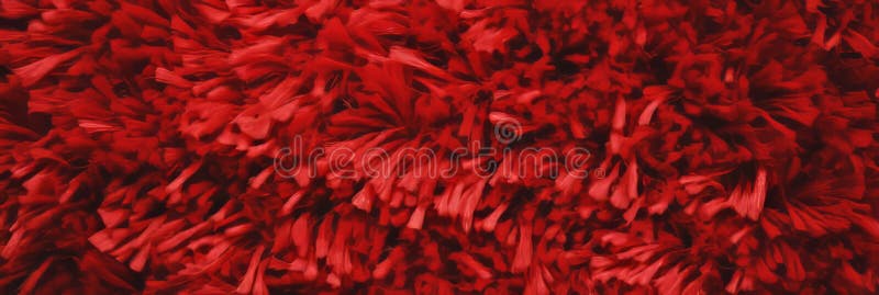 Dense Plush Carpet in Deep Red Showcasing Short Pile and Subtle Shadows ...