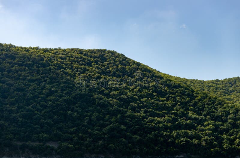 Dense Rural Forest, Outdoor Landscape View with Blue Sky Stock Image ...